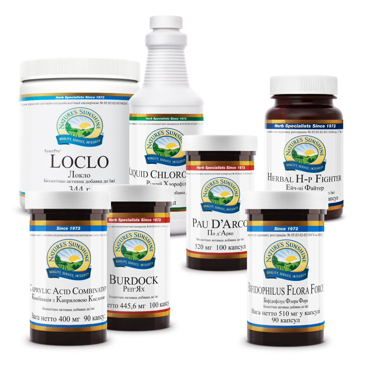 Купить Набор «Здоровье ЖКТ как ОСНОВА» | NSP Молдова